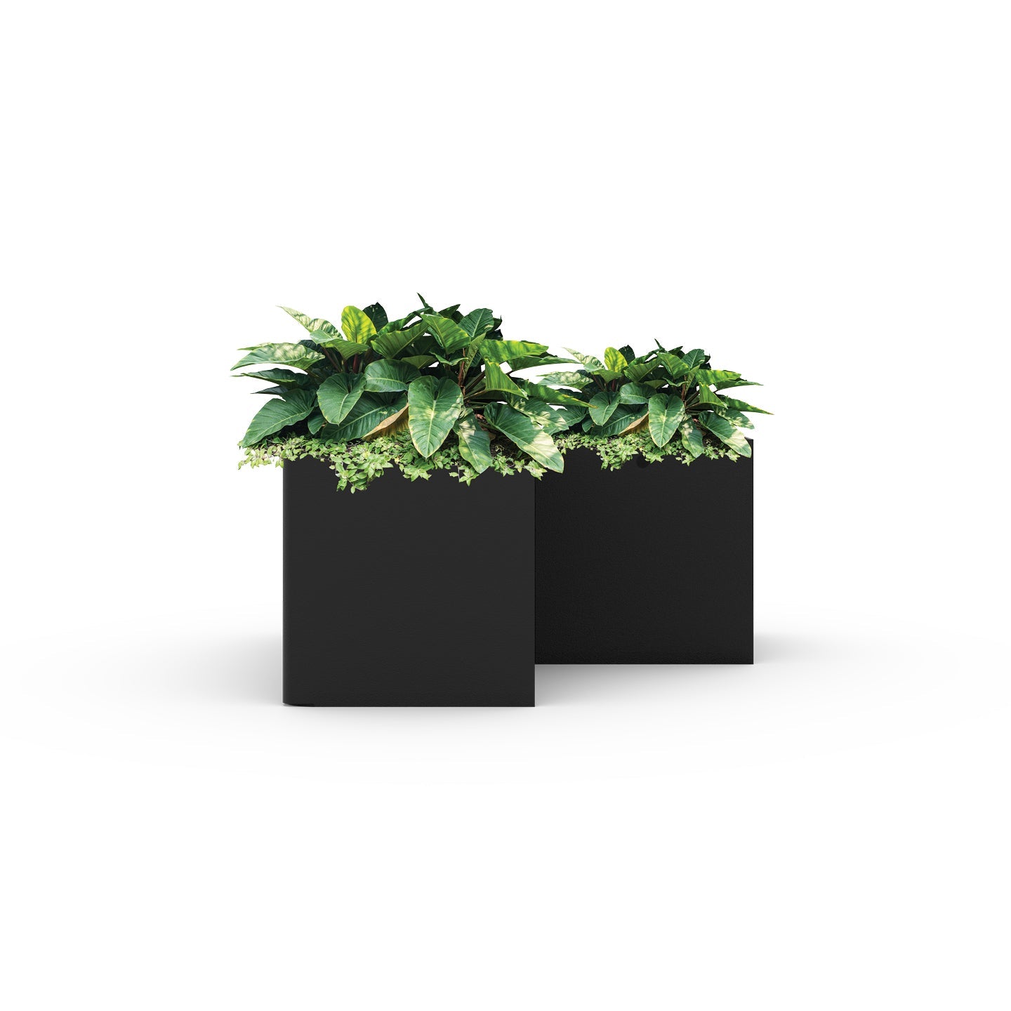 Garden – Toja Canada