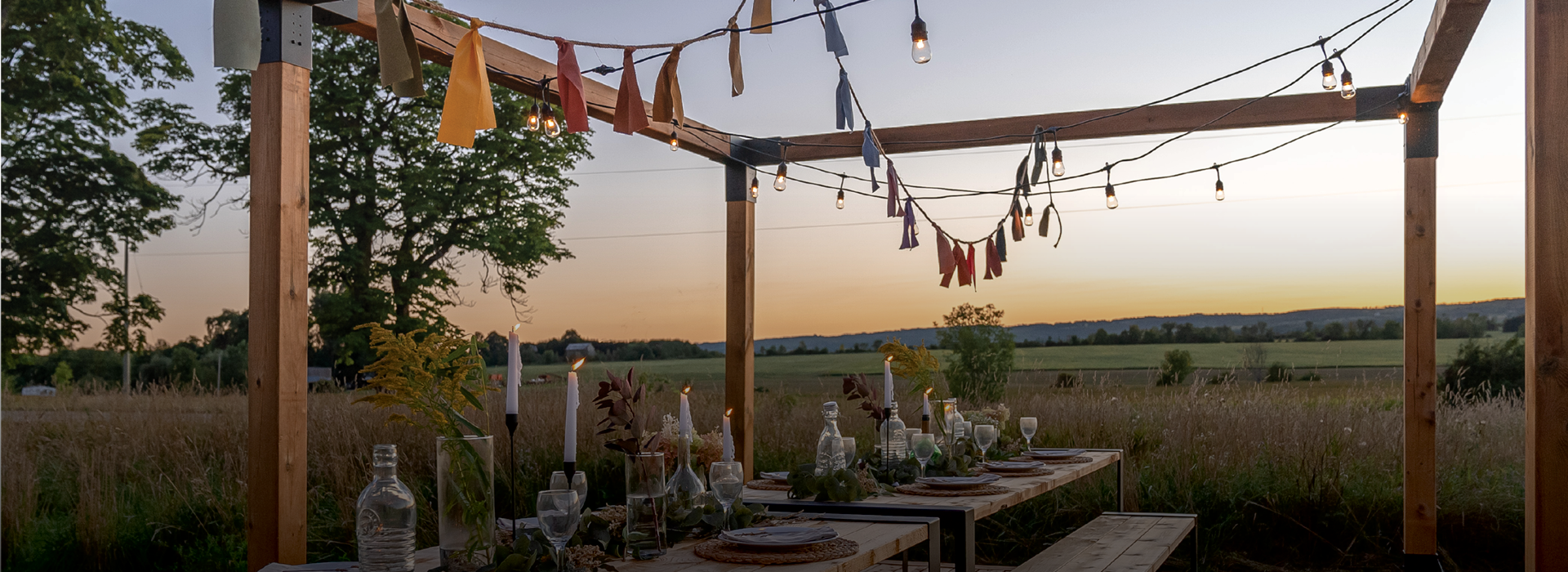 Toja – Toja Canada